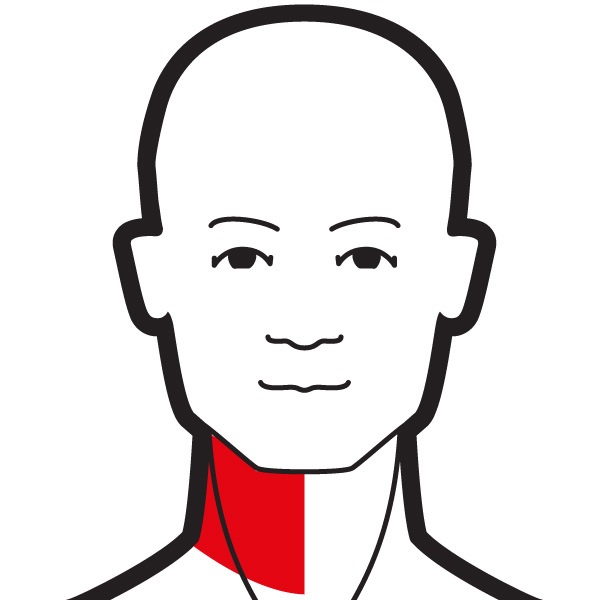 Trigger Point eBook: Neck & Throat